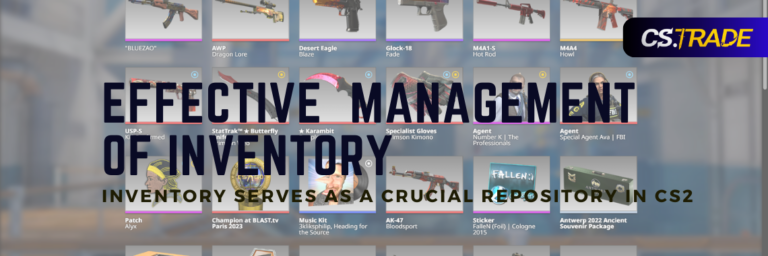 How to Manage Inventory in CS2! - Blog