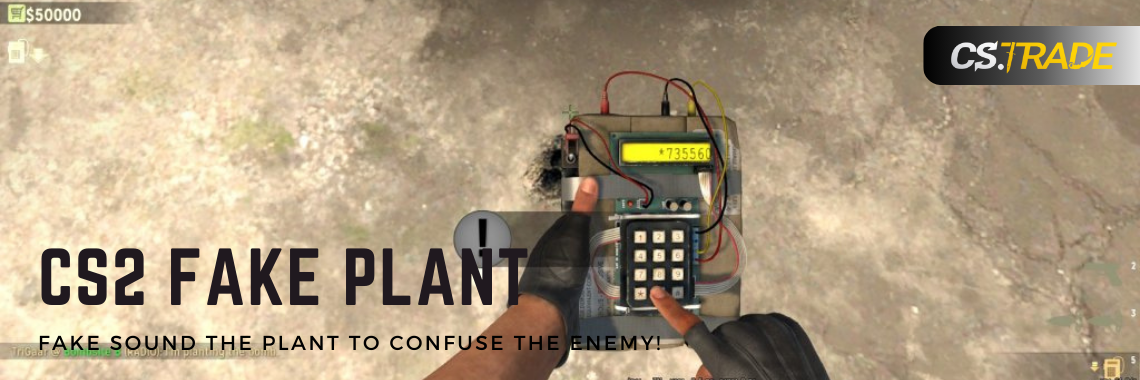 The Art Of Fake Plant In CS2: Detailed Guide - Blog